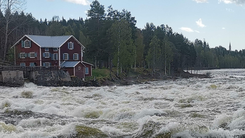 Tittarbilder maj 2025 – skicka din bild till SVT Väder | SVT Nyheter