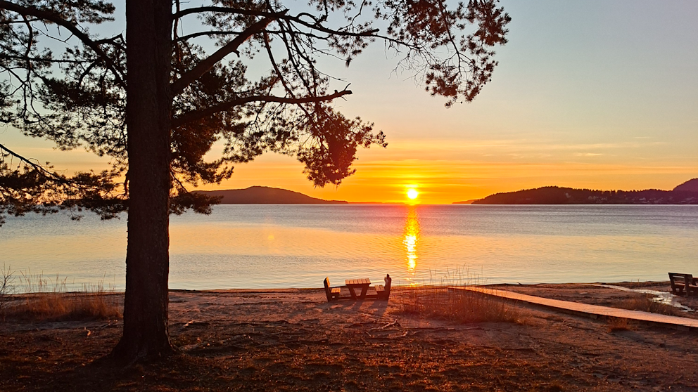 Tittarbilder december 2025 – skicka din bild till SVT Väder | SVT Nyheter
