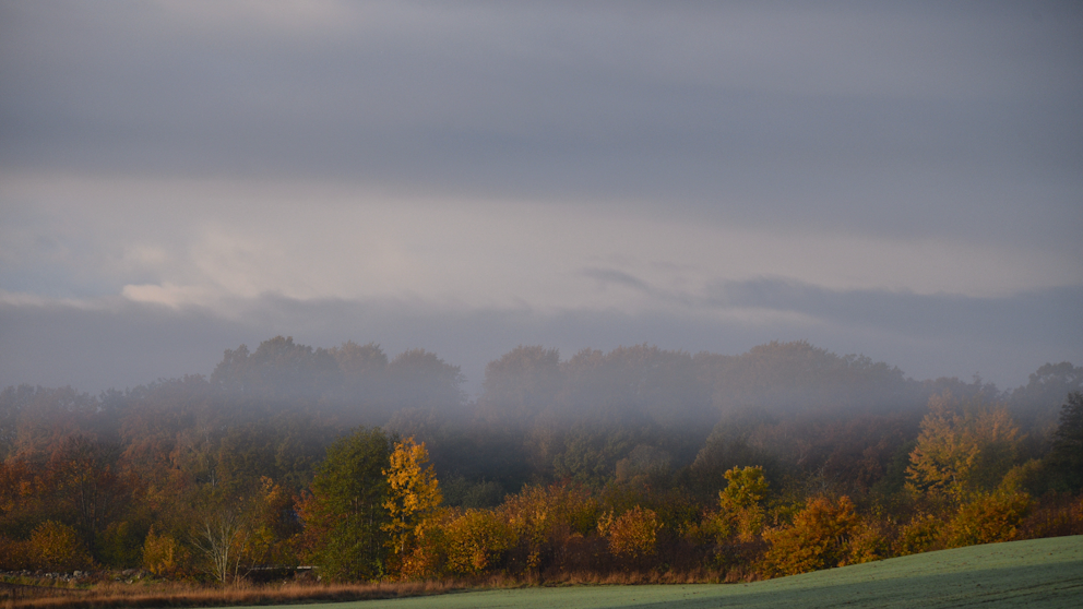 Tittarbilder oktober 2025 – skicka din bild till SVT Väder | SVT Nyheter