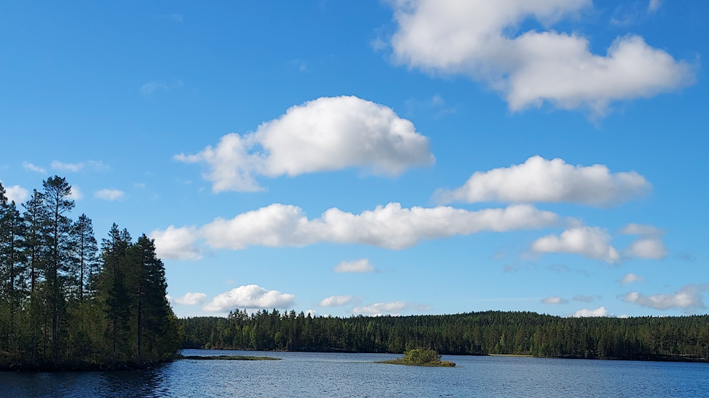 Tittarbilder augusti 2025 – skicka din bild till SVT Väder | SVT Nyheter