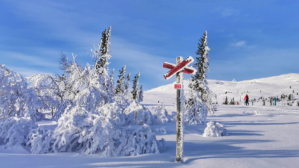Tittarbilder januari 2025 – skicka din bild till SVT Väder | SVT Nyheter