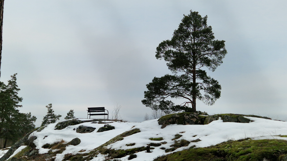 Tittarbilder januari 2026 – skicka din bild till SVT Väder | SVT Nyheter