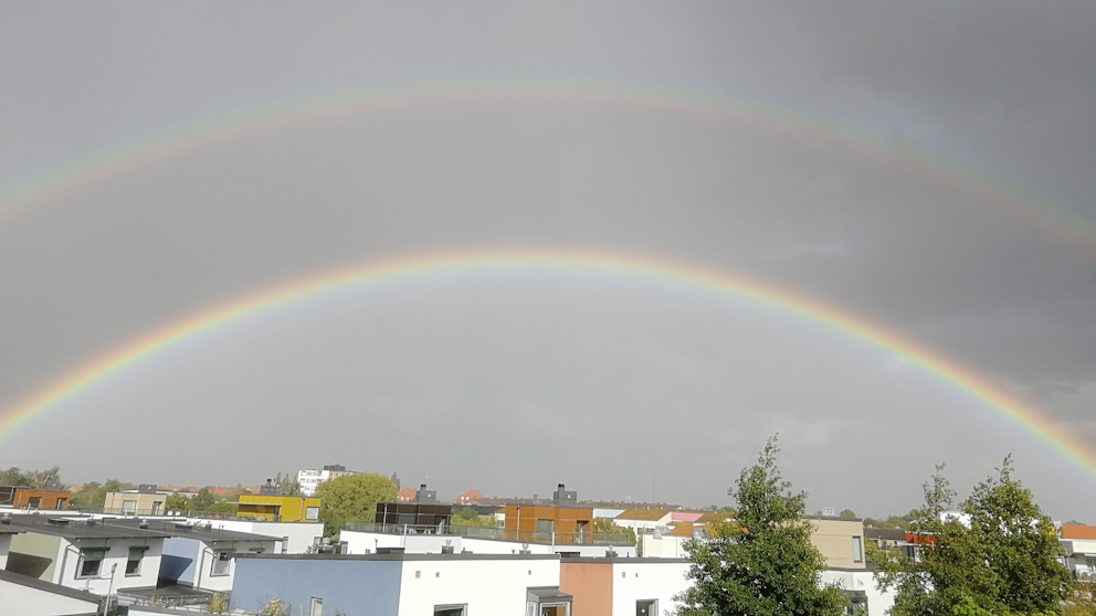 Tittarbilder augusti 2025 – skicka din bild till SVT Väder | SVT Nyheter