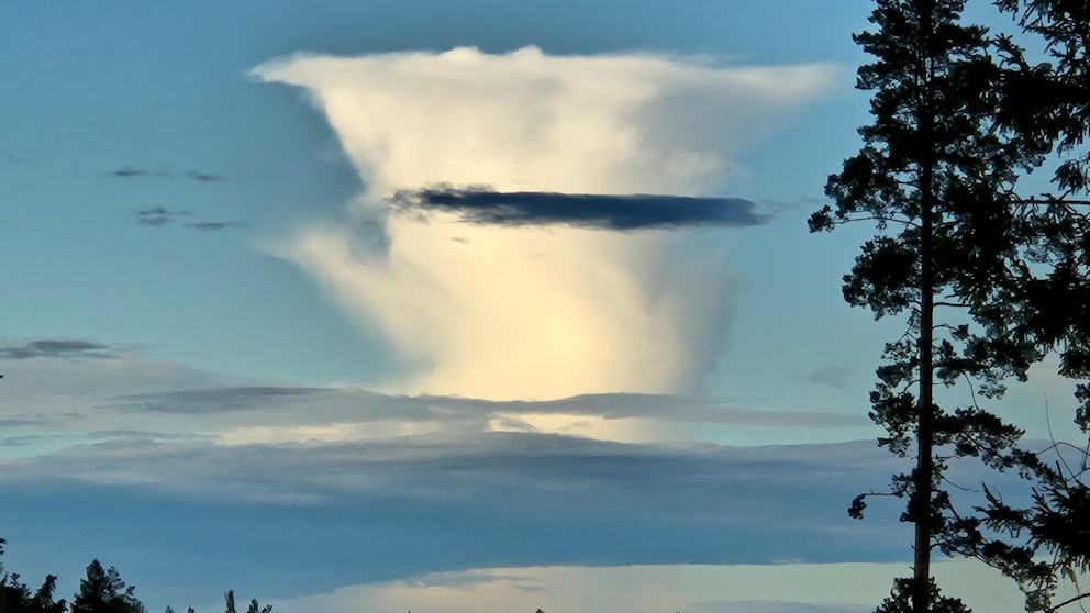 Tittarbilder september 2025 – skicka din bild till SVT Väder | SVT Nyheter