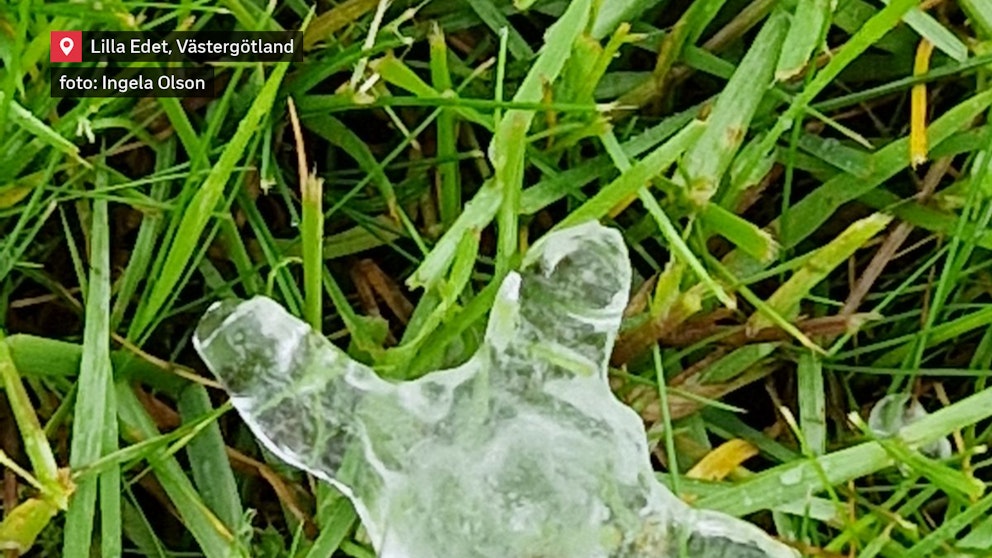 Väderbildstävling vecka 22 | SVT Nyheter