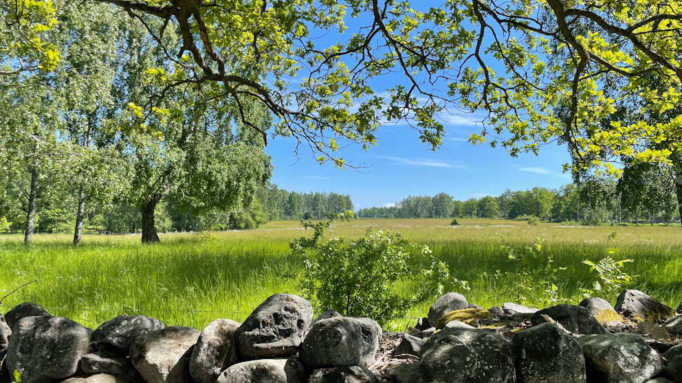 Tittarbilder maj 2024 – skicka din bild till SVT Väder | SVT Nyheter