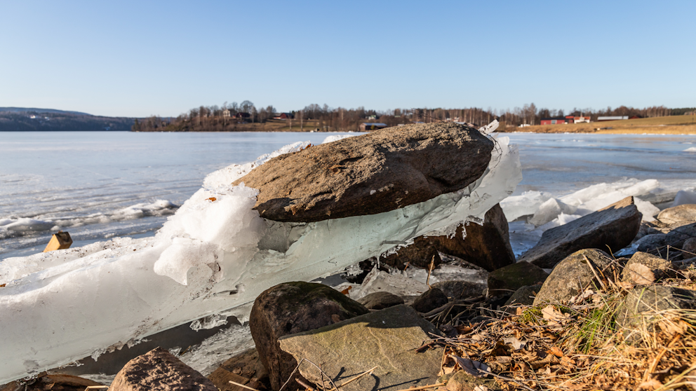 Tittarbilder mars 2024 | SVT Nyheter