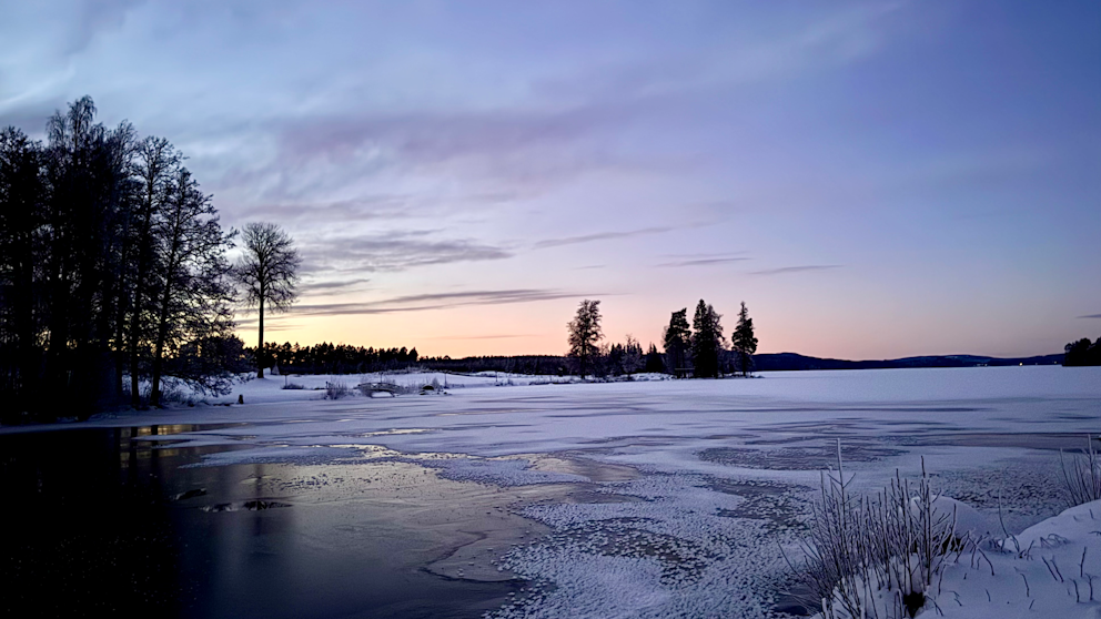 Tittarbilder januari 2025 – skicka din bild till SVT Väder | SVT Nyheter