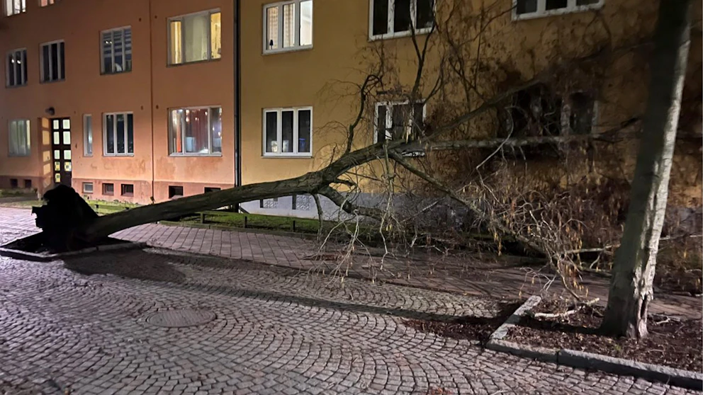 Följ det senaste kring stormen Otto | SVT Nyheter