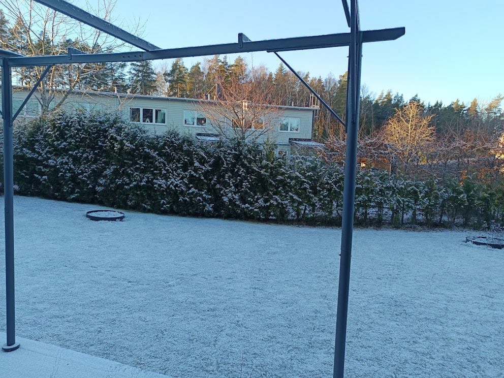 Ett besökarinlägg i ”God jul – hur firar du? Dela med dig i SVT:s chatt ...