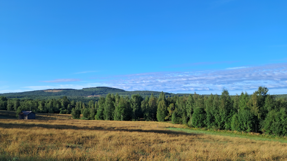 Tittarbilder augusti 2025 – skicka din bild till SVT Väder | SVT Nyheter