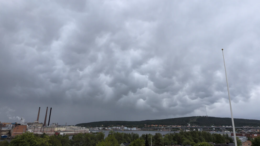 Tittarbilder maj 2026 – skicka din bild till SVT Väder | SVT Nyheter