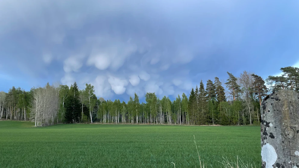 Tittarbilder maj 2026 – skicka din bild till SVT Väder | SVT Nyheter