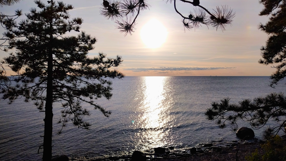 Tittarbilder juni 2025 – skicka din bild till SVT Väder | SVT Nyheter