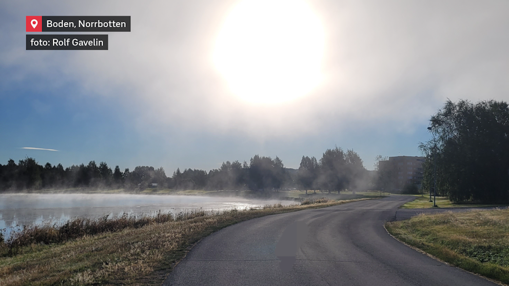 Tittarbilder augusti 2025 – skicka din bild till SVT Väder | SVT Nyheter