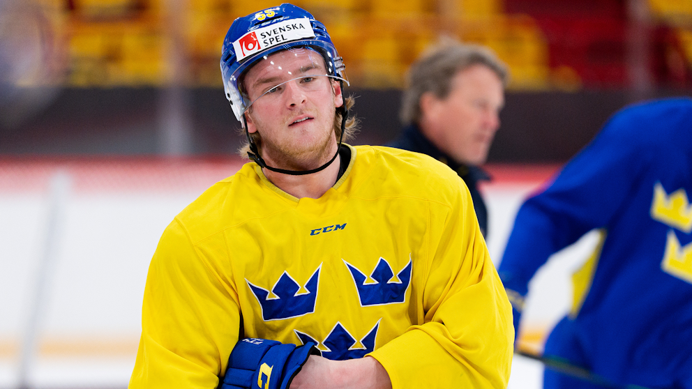 Ishockey: Rögle presenterar två backförstärkningar – Senaste nytt: SHL 2024/2025 | SVT Sport